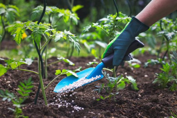 Preparation to build chemical fertilizer factory begins - Fiscal Nepal